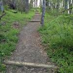 Art Photography The Path Less Traveled on Luulla