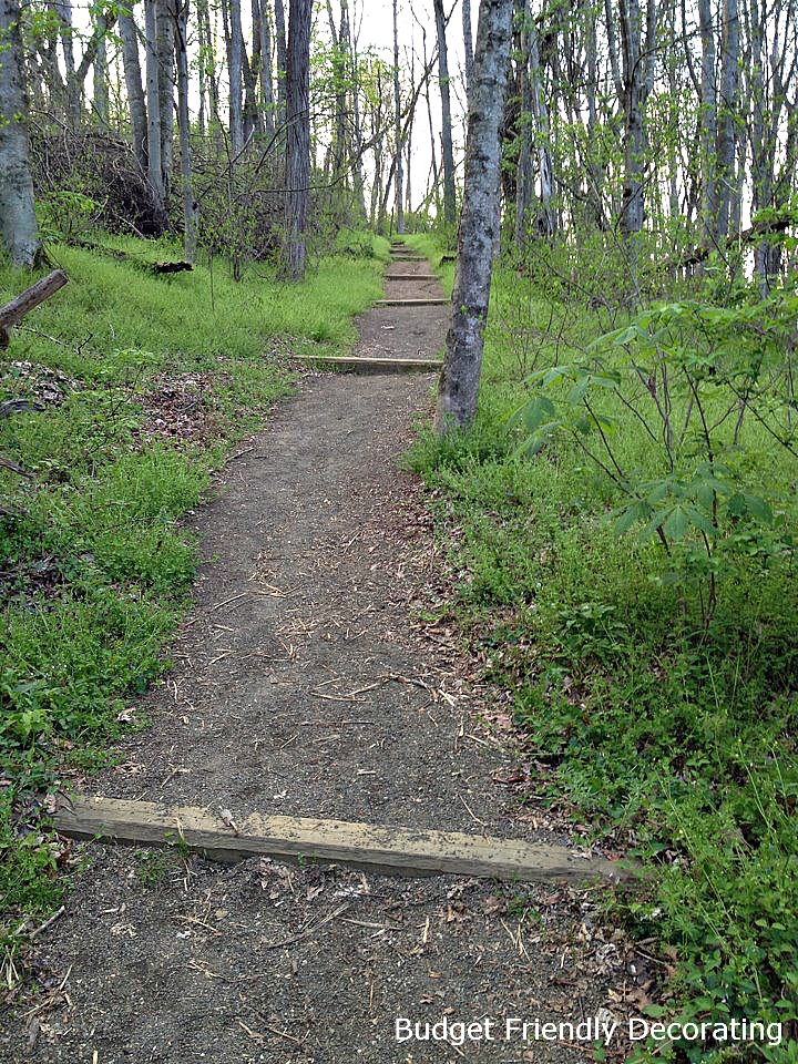 Art Photography The Path Less Traveled on Luulla